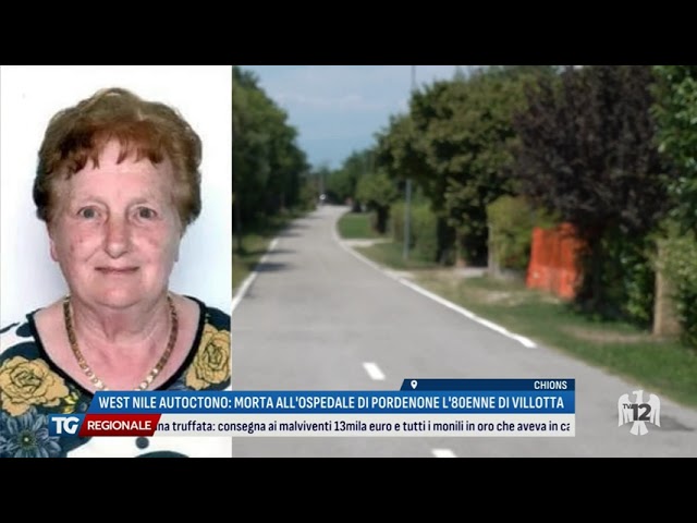 TG REGIONALE | 20/07/2024 - TV 12 | Medianordest