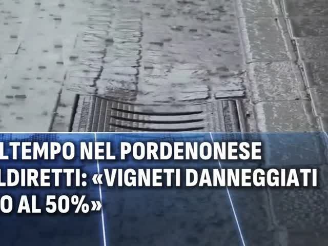 TG REGIONALE | 28/06/2025 - TV 12 | Medianordest